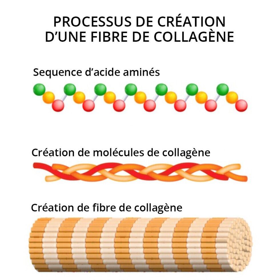 Collagène Peptide - Peptan® - Livraison sur Nouméa ou Click & Collect